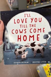 28 Best Valentine Books for Preschool