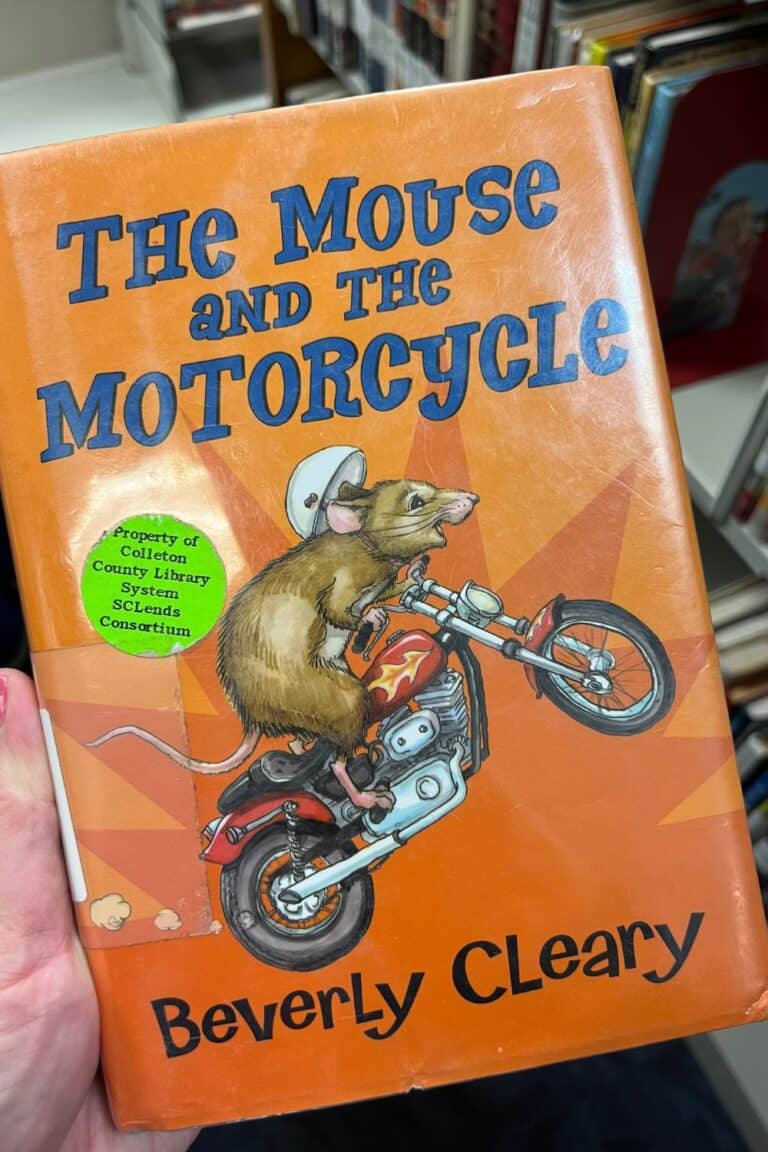26 Best Chapter Books to Read with Your Second Graders