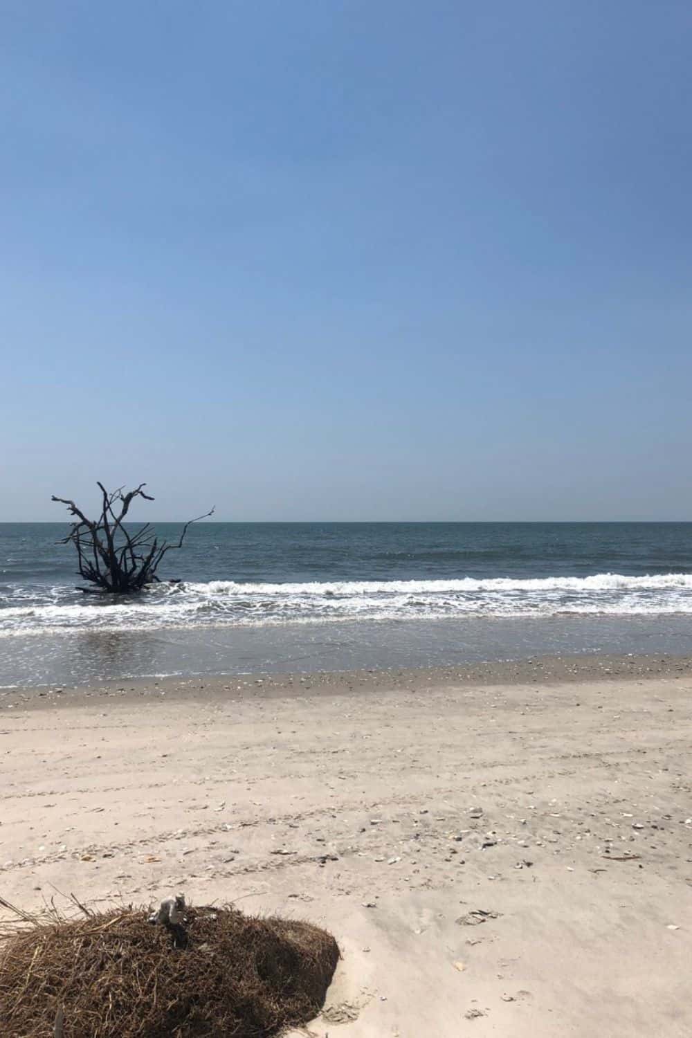 14 Fun Things to Do in Edisto Beach With Your Kids