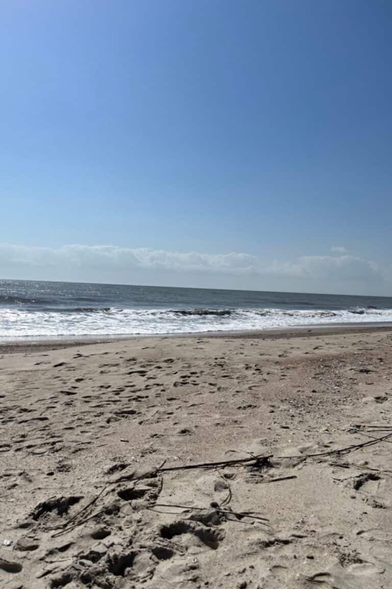 14 Fun Things to Do in Edisto Beach With Your Kids