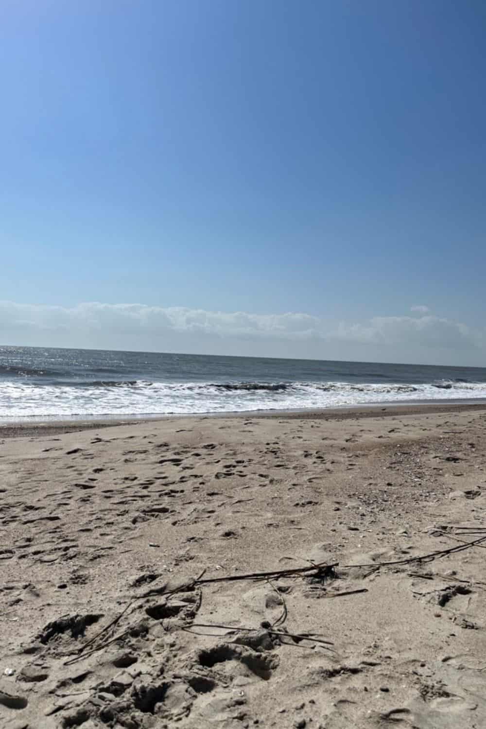 14 Fun Things to Do in Edisto Beach With Your Kids