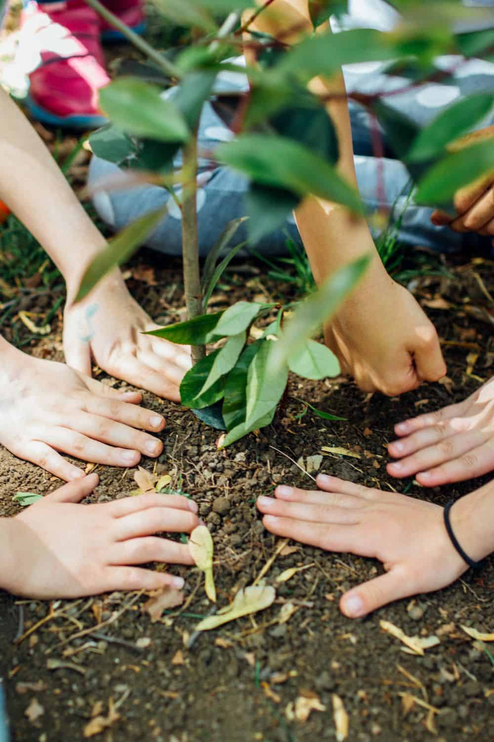 19 Best Earth Day Activities for the Whole Family